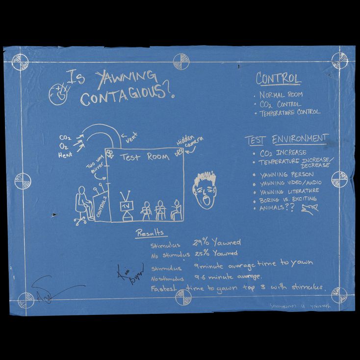 Lot 58 Is Yawning Contagious Blueprint Signed by Adam Savage and Kari ...