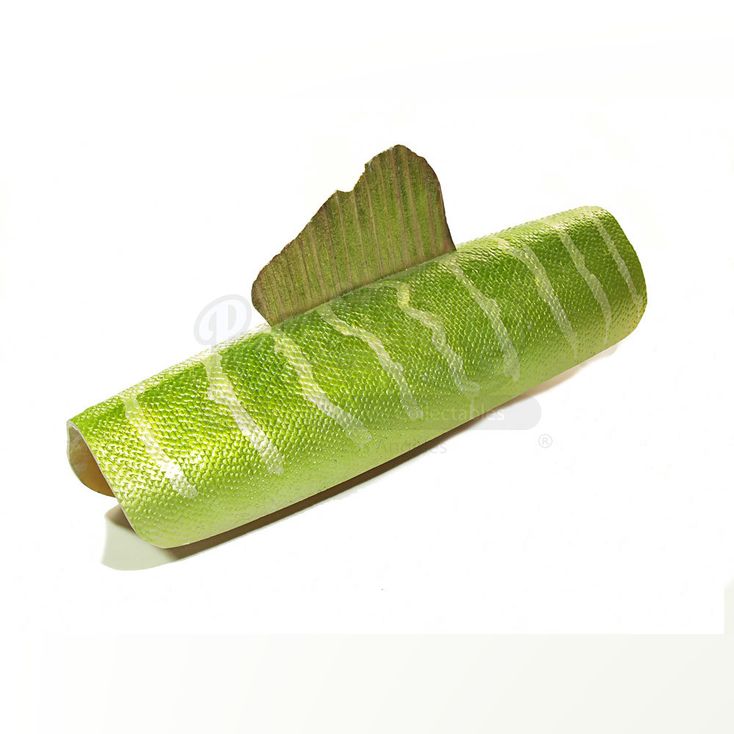 Pike Fin | TALES OF THE RIVERBANK (2008)