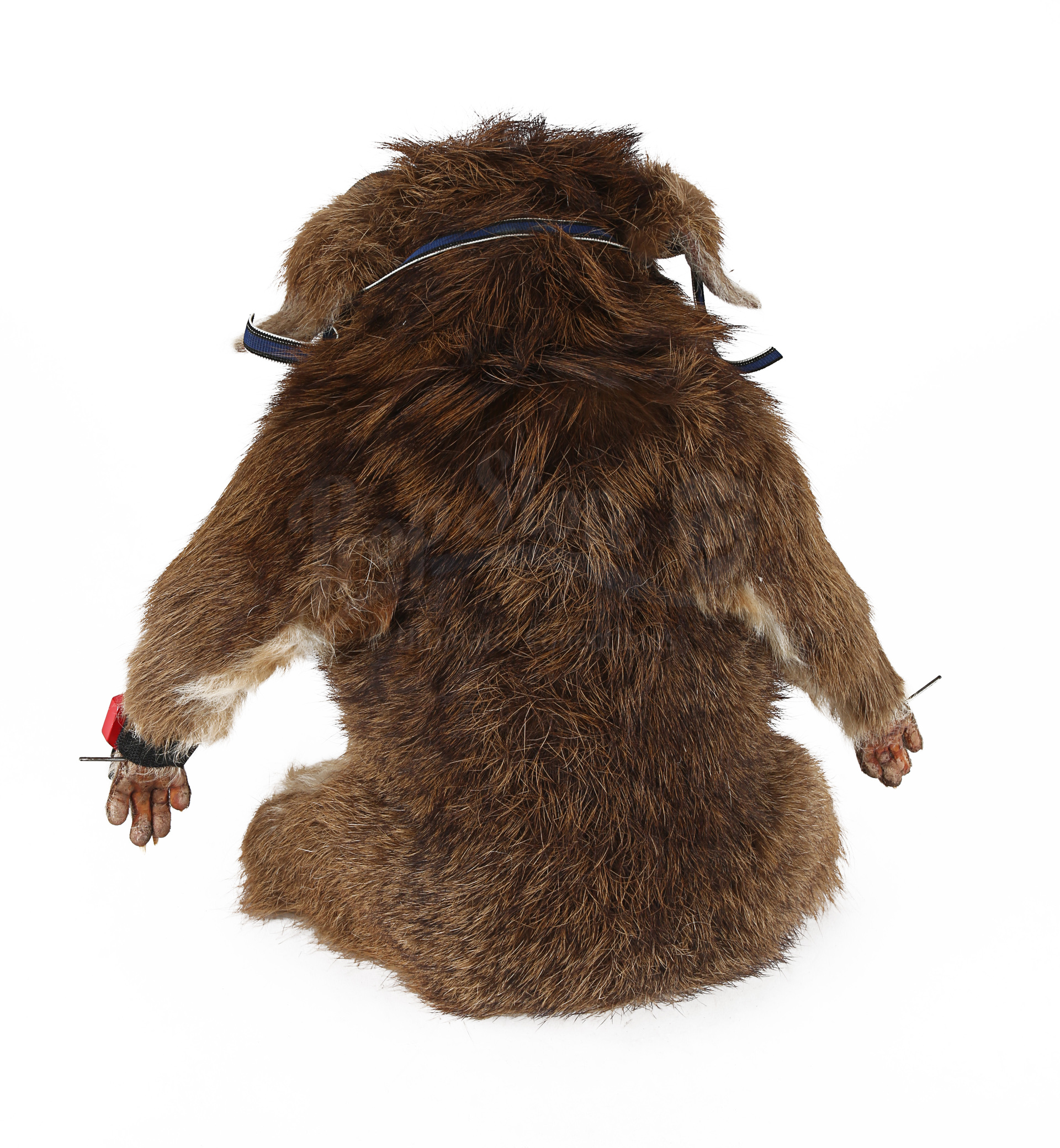 Propstore - Find Your Extraordinary