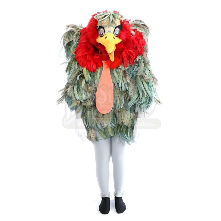 Orson Vulture (Joy Campbell) Walkabout Costume | PUFNSTUF THE MOVIE (1970)