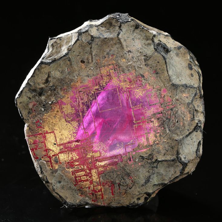 Kimberly Harts Pink Power Coin | POWER RANGERS (2017)