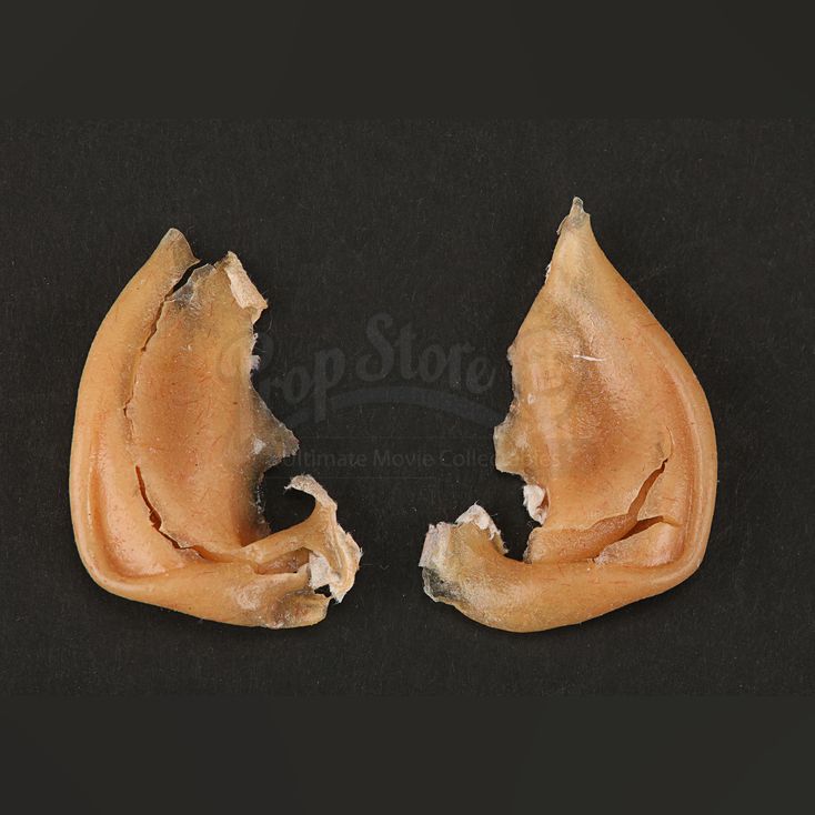 Legolas (Orlando Bloom) Prosthetic Elf Ear Tips | LORD OF THE RINGS ...