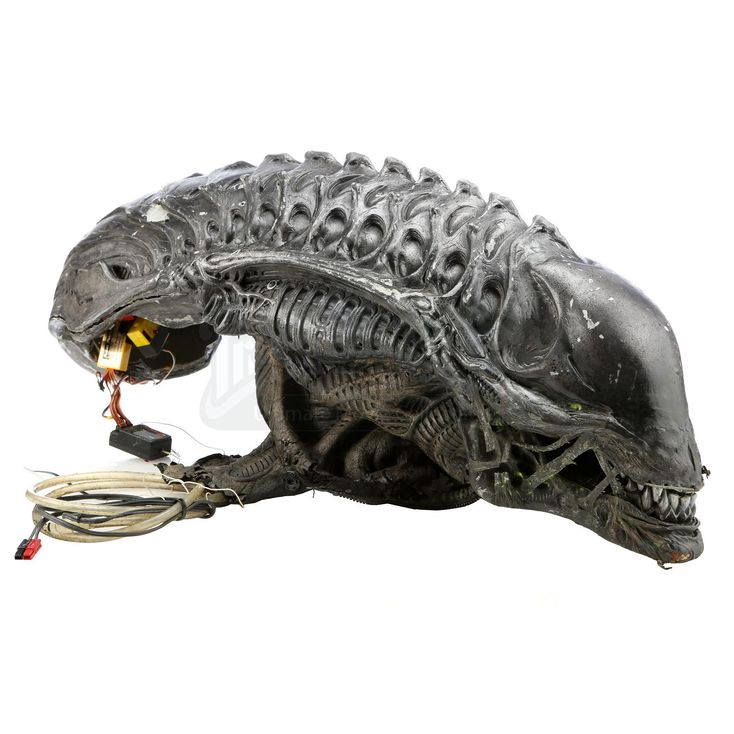 Xenomorph SFX Head | AVPR: ALIENS VS. PREDATOR - REQUIEM (2007)