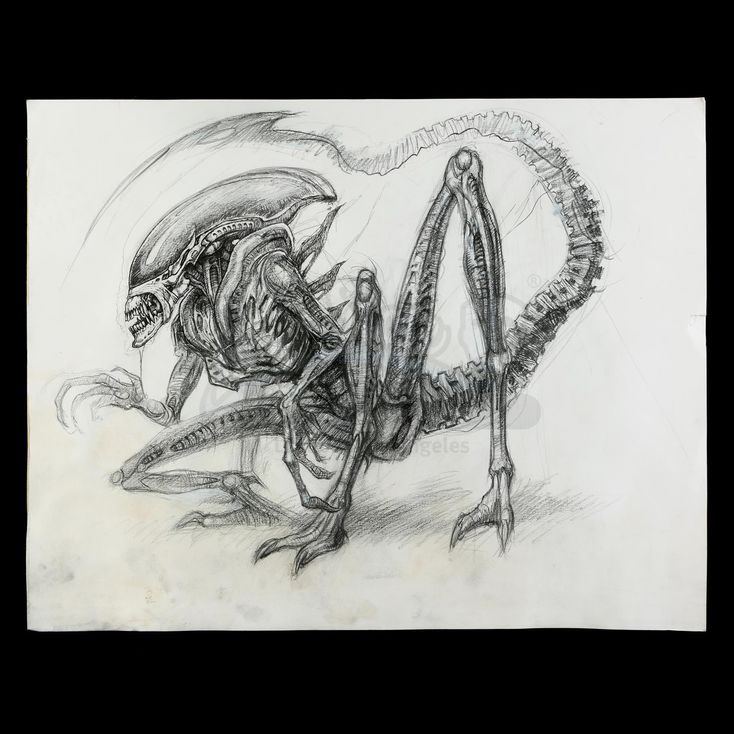 Large Hand-Drawn Xenomorph Concept Sketch | ALIEN RESURRECTION (1997)