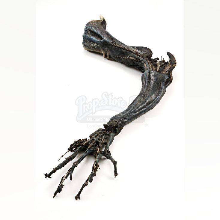 Queen Arm With Mechanical Hand | ALIENS (1986)