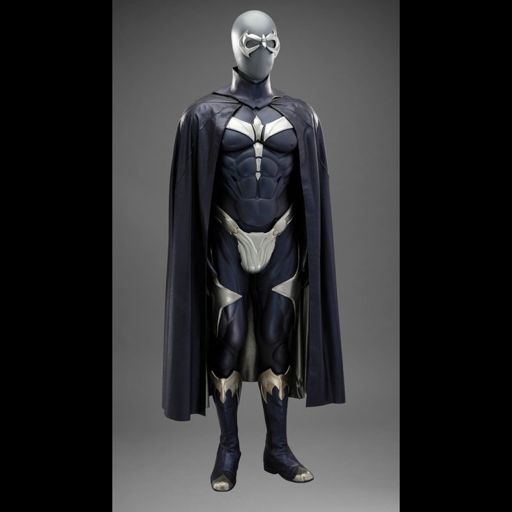 Batman And Robin Ice Suit