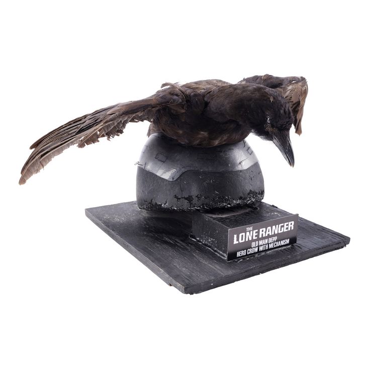 Lot #1365: THE LONE RANGER (2013) - Old Tonto's (Johnny Depp) Crow ...