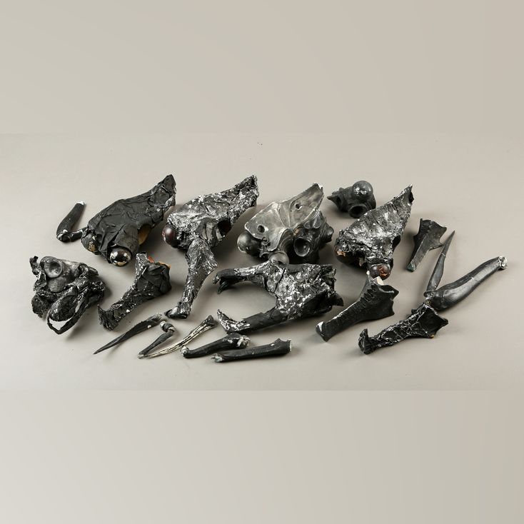Burned Warrior Bug Miniature Components | STARSHIP TROOPERS 2: HERO OF ...
