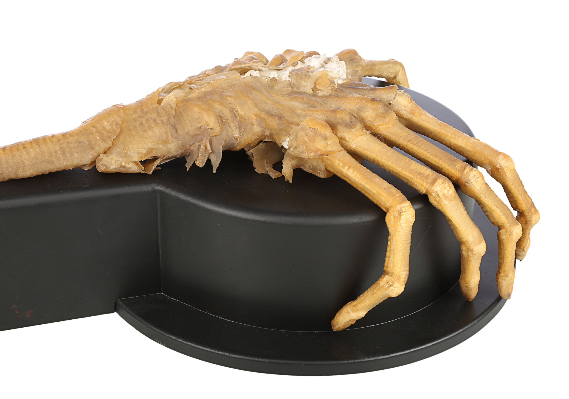 Propstore - Find Your Extraordinary