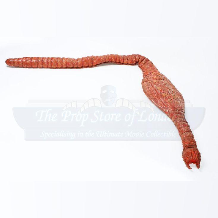 Genesis Eel Puppet | STAR TREK III: THE SEARCH FOR SPOCK (1984)