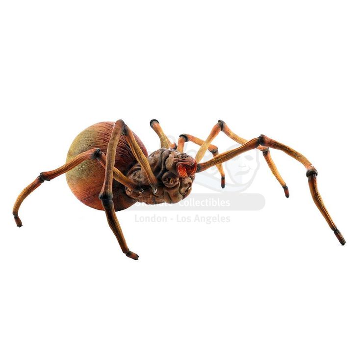 Giant Spider | JUMANJI (1995)