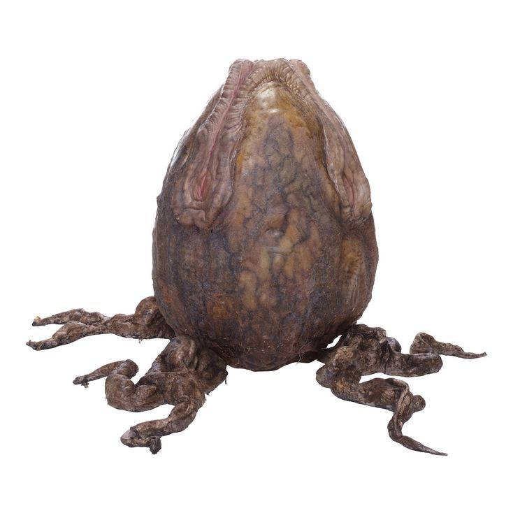 Lot #832: ALIEN: COVENANT (2017) - Xenomorph Egg