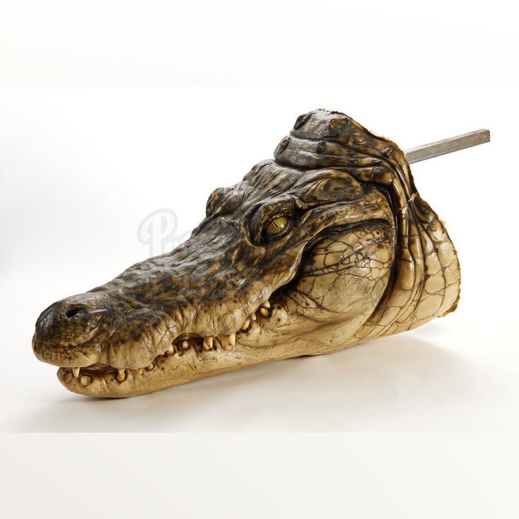 Original Crocodile Head | SHORTS (2009)