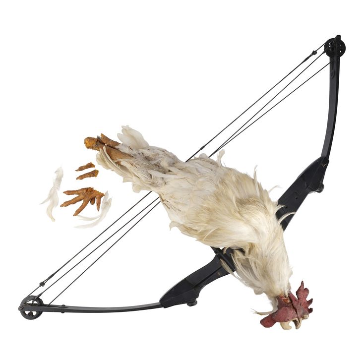 970. Topper Harleys (Charlie Sheen) Chicken and Bow | HOT SHOTS! PART ...