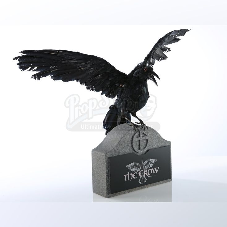 Cable-Controlled Crow Puppet | CROW, THE (1994)