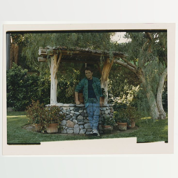 Over-sized Fading Insert Photograph - Marty Disappearing | BACK TO THE ...