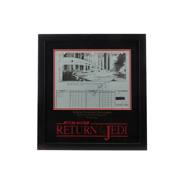 Howard Kazanjian-Signed Production Storyboard - POV Luke and Leia of ...
