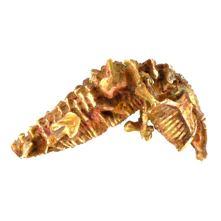 Lot #755 - EXISTENZ (1999) - Ted Pikul's (Jude Law) Gristle Gun