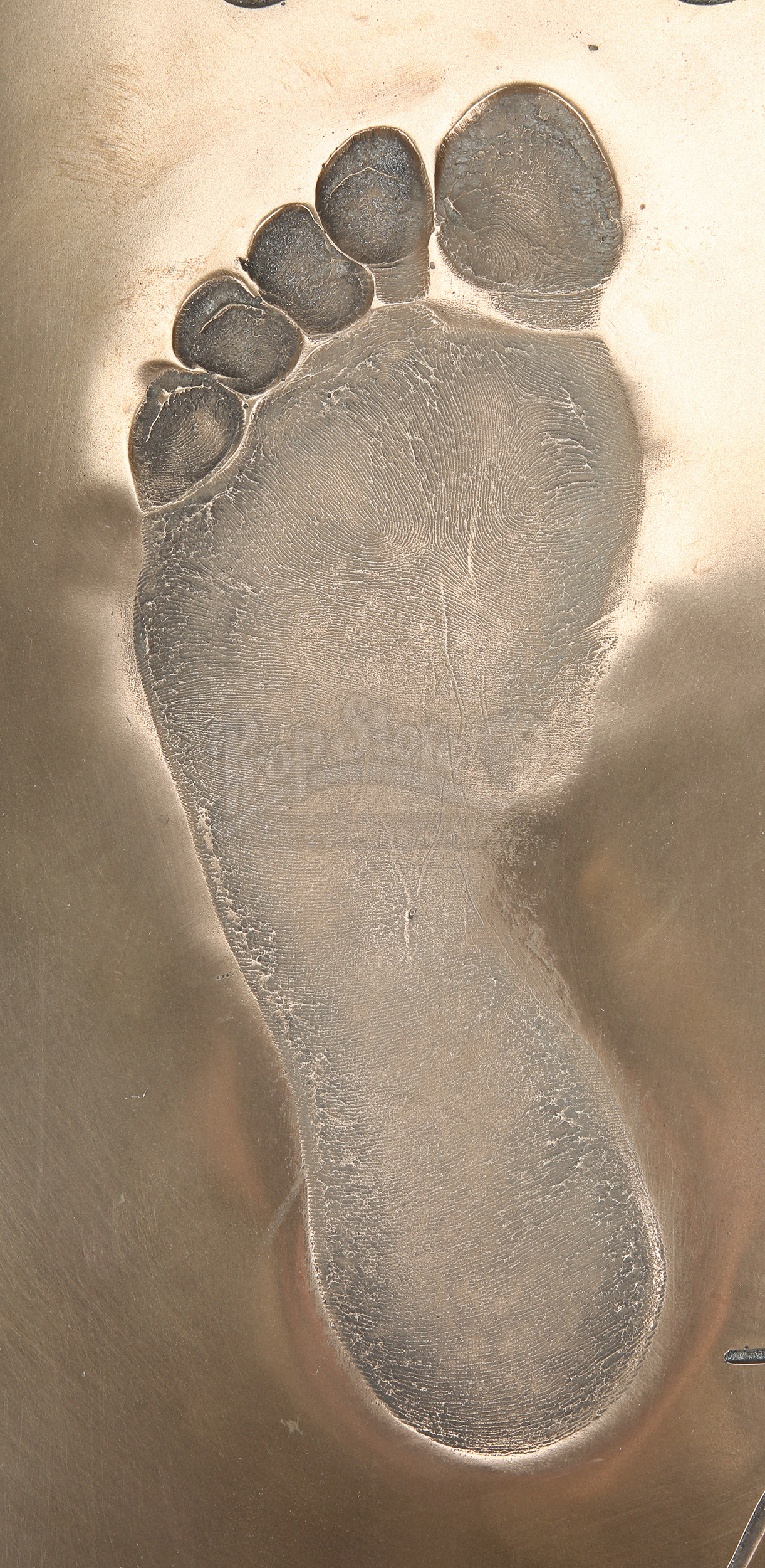Propstore - Find Your Extraordinary