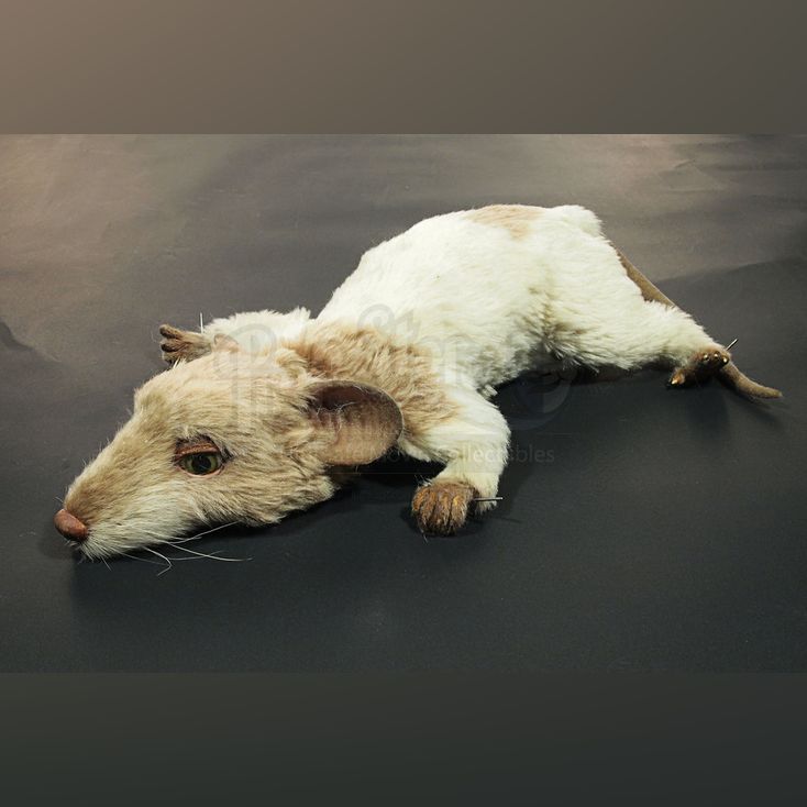 Roderick The Rat Puppet B | TALES OF THE RIVERBANK (2008)