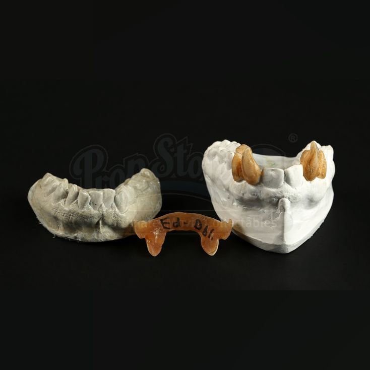 Max (Edward Herrmann) Upper and Lower Fangs on Teeth Casts | LOST BOYS ...