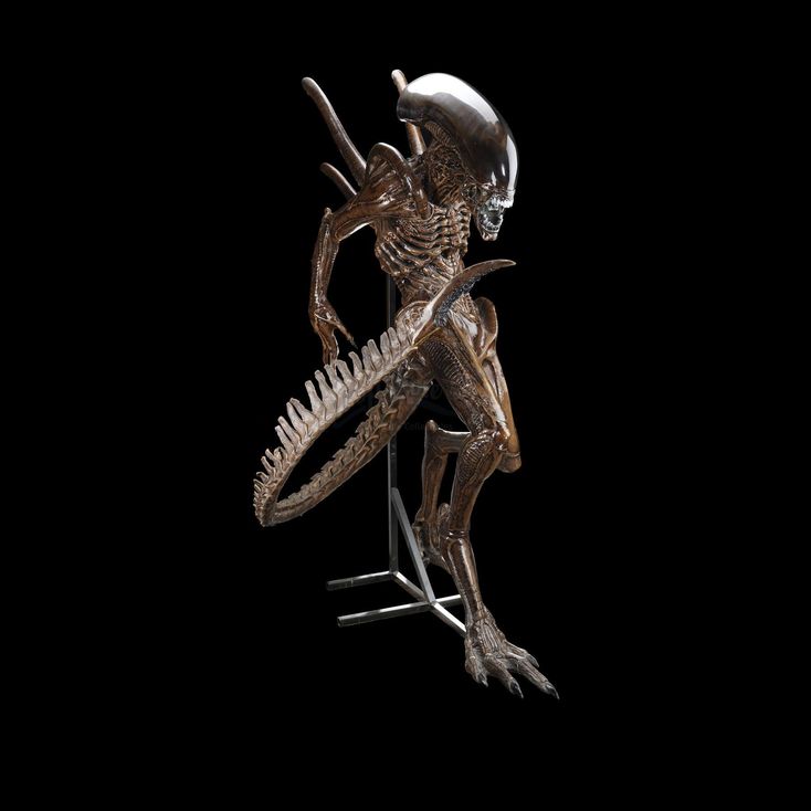 Xenomorph Alien Display with Tail | ALIEN RESURRECTION (1997)