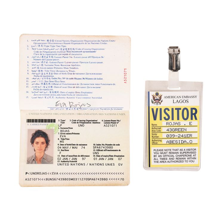Lot #1510: SAHARA (2005) - Eva Rojas' (Penelope Cruz) UN Passport and ...