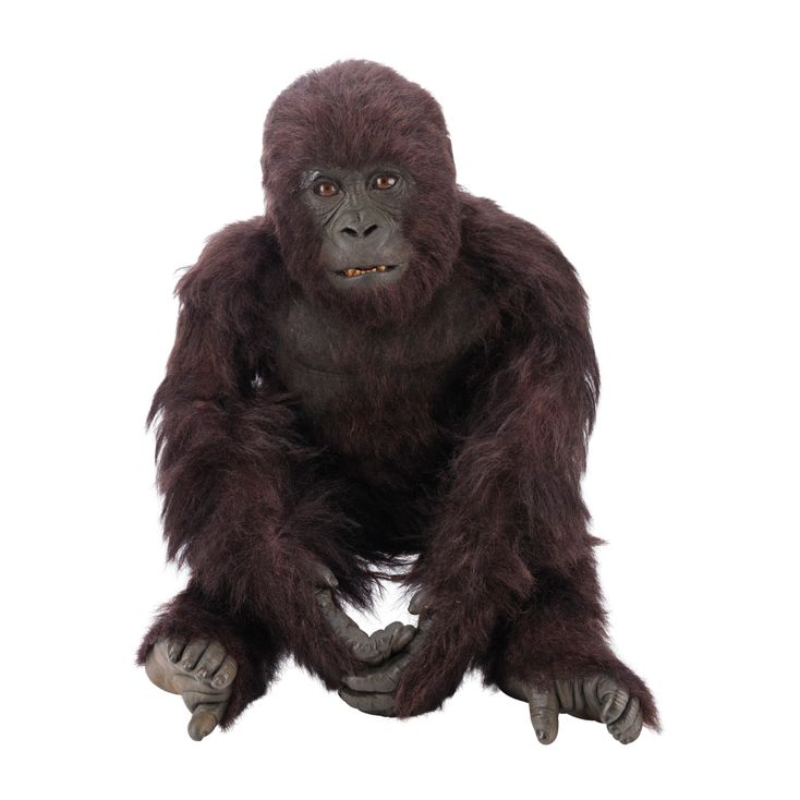 Lot # 1494: MIGHTY JOE YOUNG (1998) - Baby Joe (Verne Troyer) Costume ...