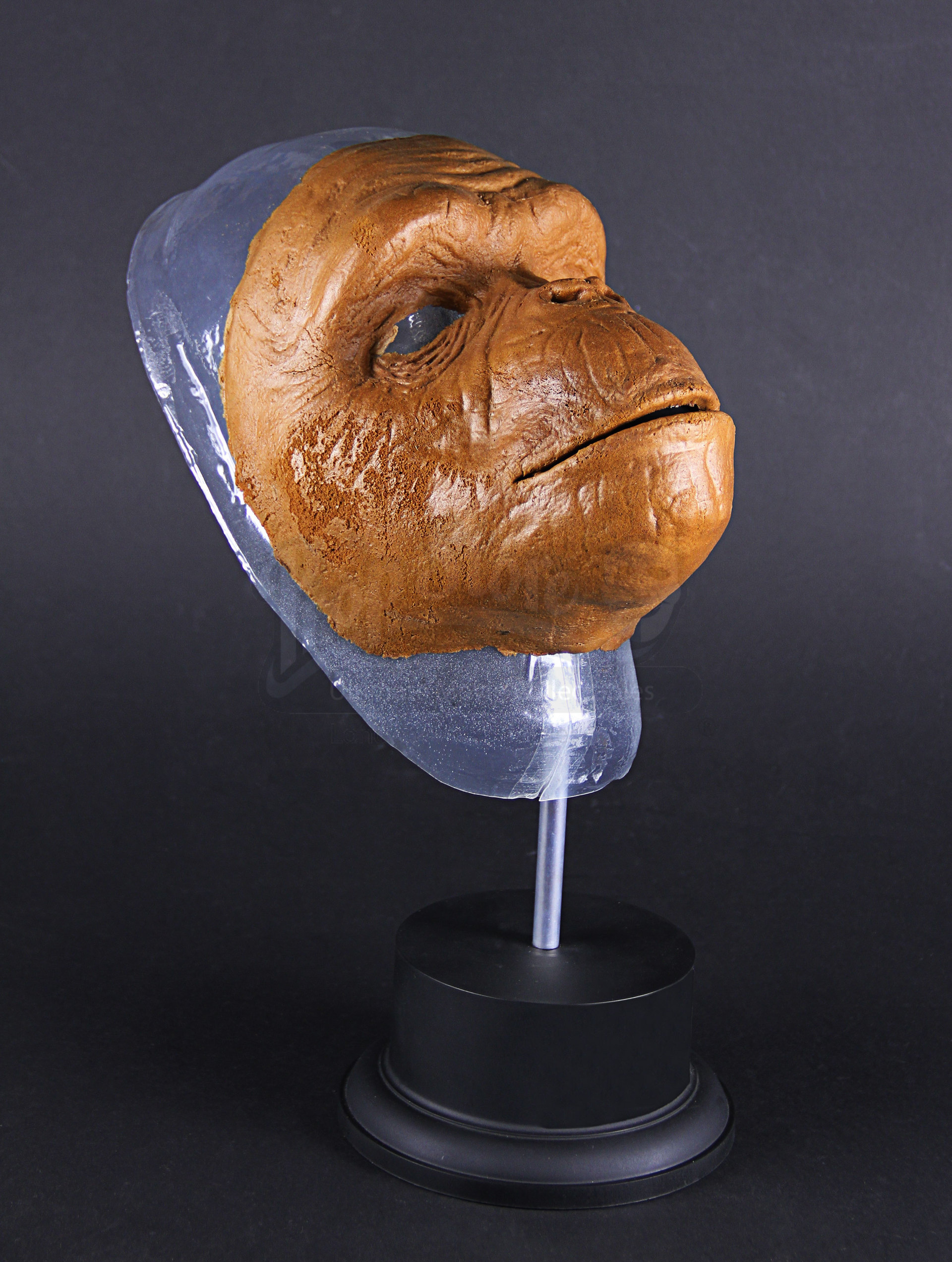 Ape Mask Signed Photo | Propstore - Find Your Extraordinary