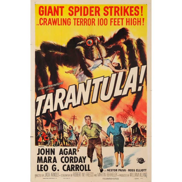 One Sheet Poster - (27 x 41 Folded Artist Reynold Brown) | TARANTULA (1955)