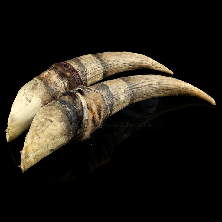 Two Orc Shield Tusk Components | WARCRAFT (2016)