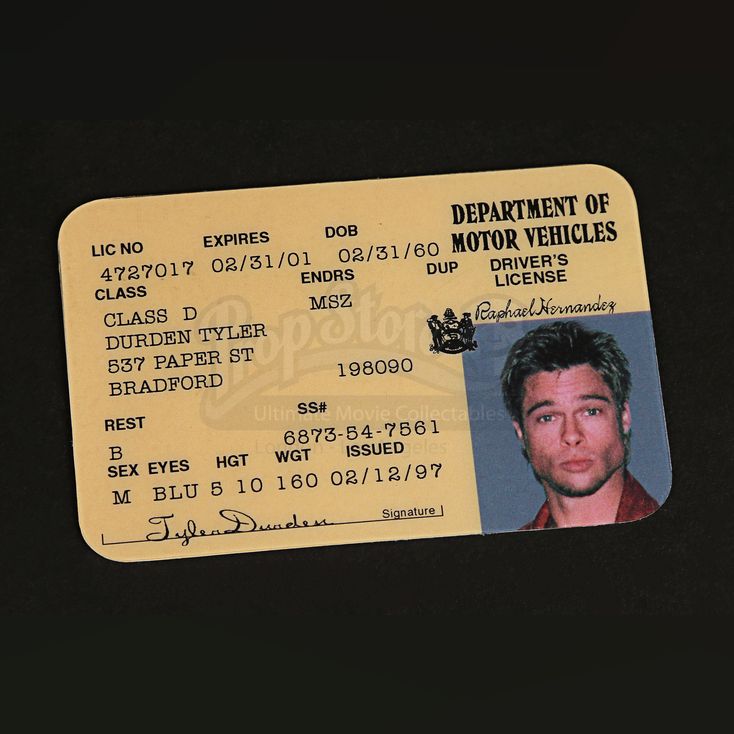 Tyler Durdens (Brad Pitt) Drivers Licence | FIGHT CLUB (1999)