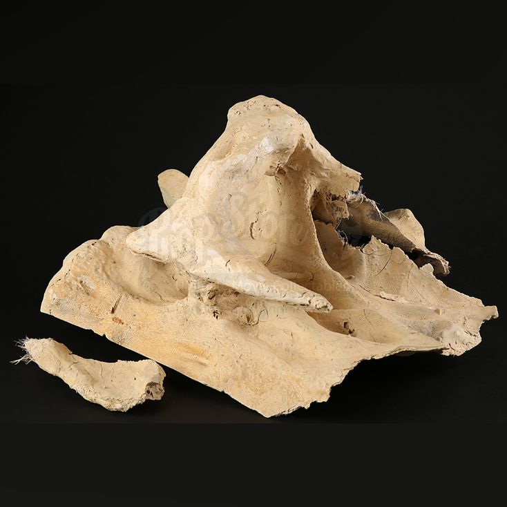 Large Krayt Dragon Spinal Vertebrae | STAR WARS: A NEW HOPE (1977)