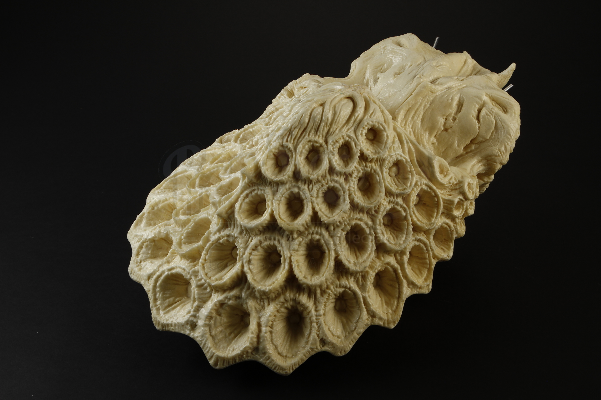 Propstore - Find Your Extraordinary