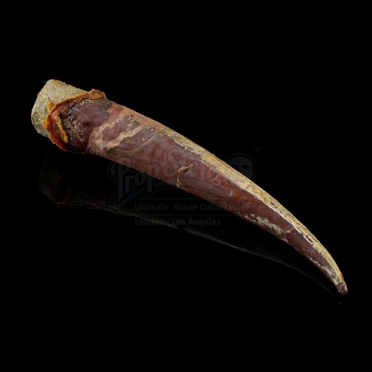 Sarlaac Tooth | STAR WARS: RETURN OF THE JEDI (1983)