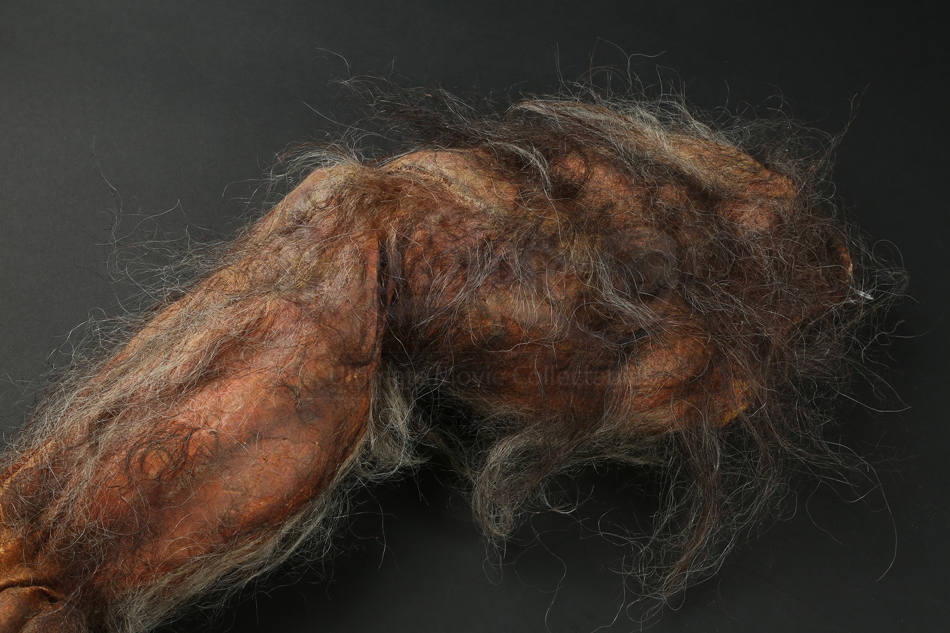 Propstore - Find Your Extraordinary