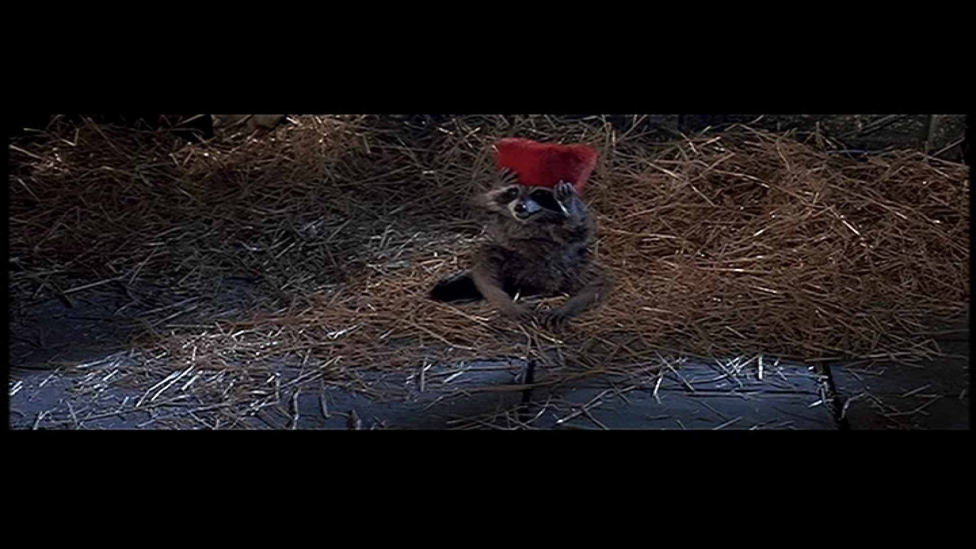 Propstore - Find Your Extraordinary