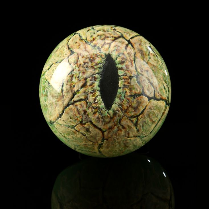 Velociraptor Reference Eye | JURASSIC PARK (1993)