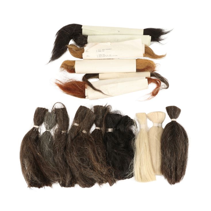 Stuart Freeborn Collection Collection of Hair Samples | VARIOUS PRODUCTIONS
