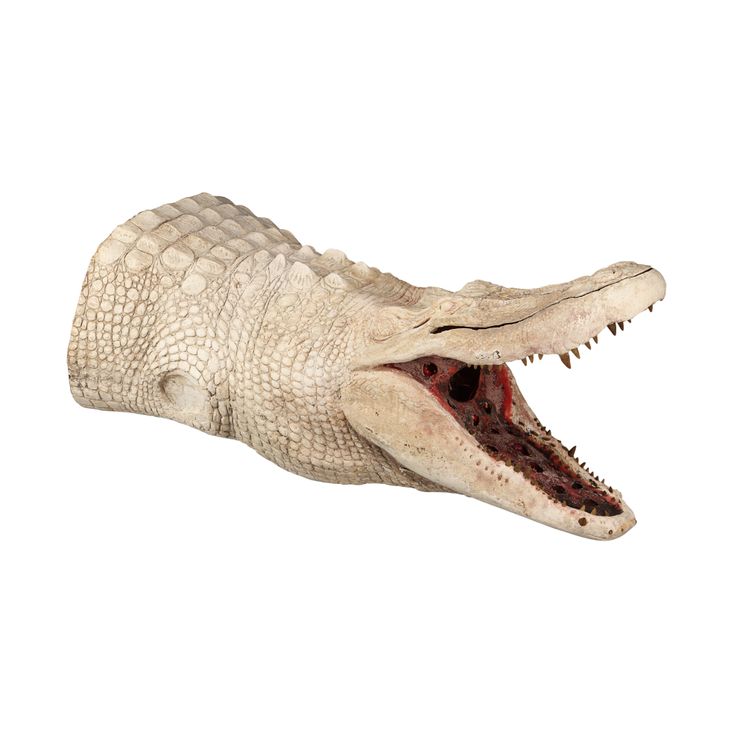Lot # 879: ANNIHILATION (2018) - Life-size SFX Albino Alligator Head