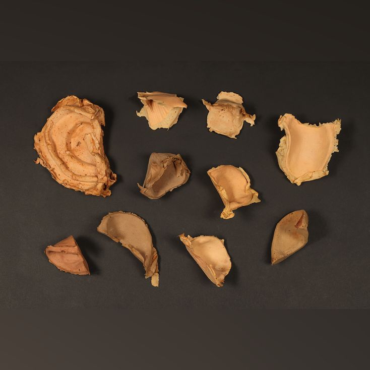 Stuart Freeborn - Ewok Components | STAR WARS: RETURN OF THE JEDI (1983)