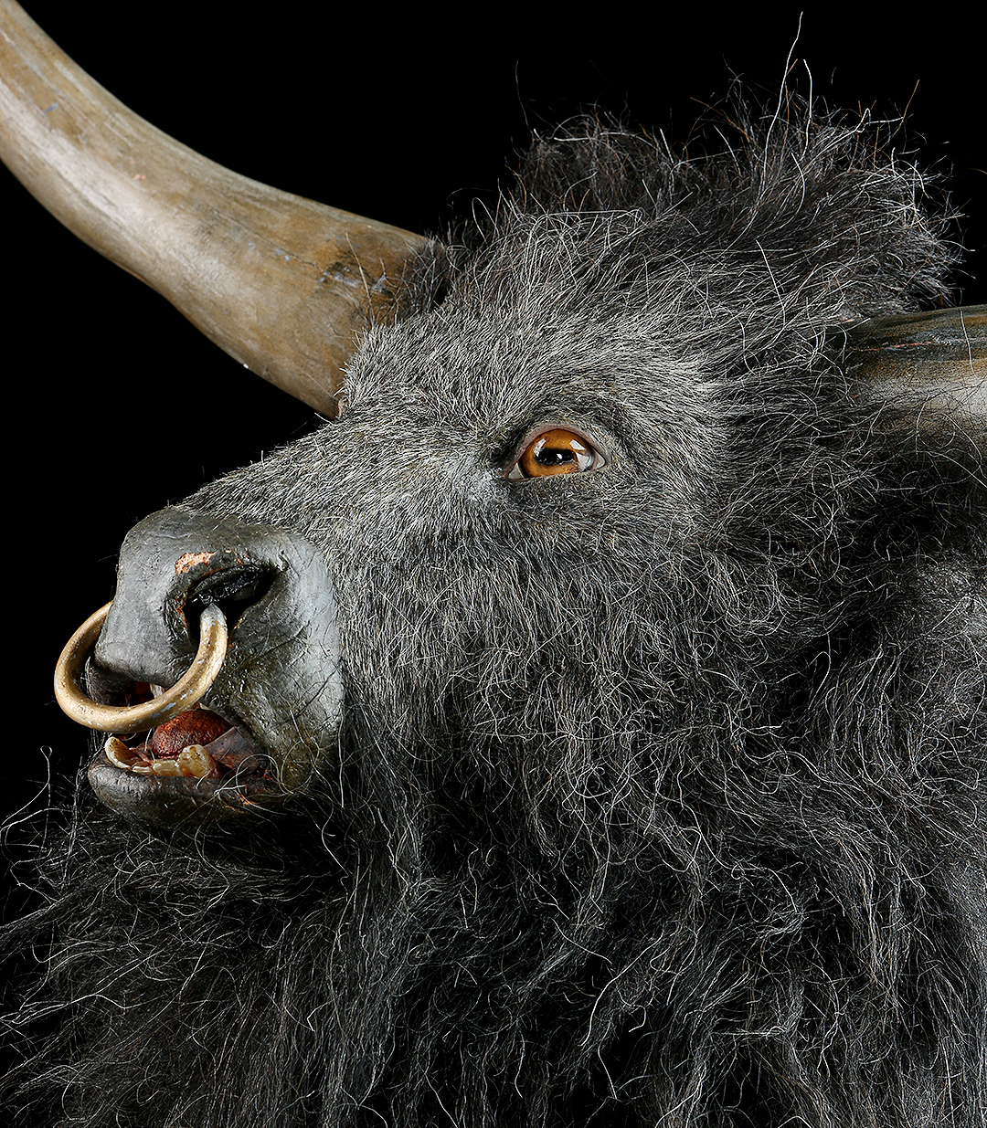 Propstore - Find Your Extraordinary