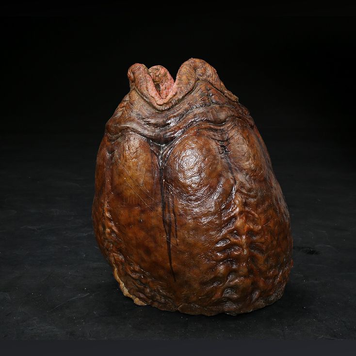 Static Alien Egg | AVP: ALIEN VS. PREDATOR (2004)