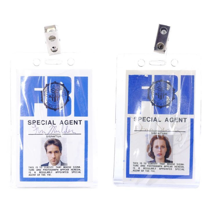 Lot 442 - David Duchovy and Gillian Anderson-autographed Fox Mulder and ...