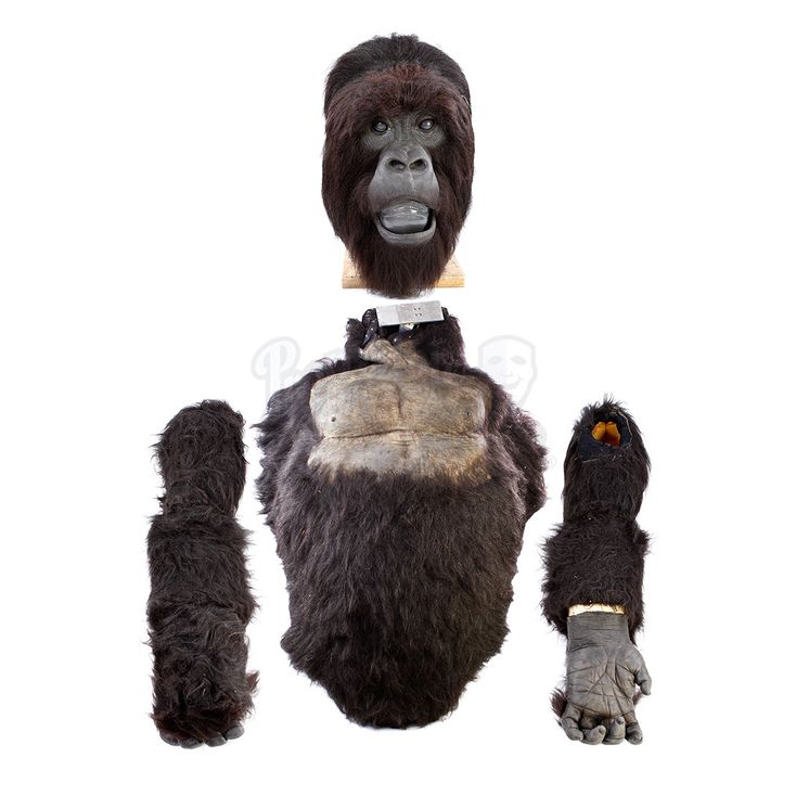 Lot 237 - Full-Size Big Joe Head Skin, Chest, Arms and Hands | MIGHTY ...