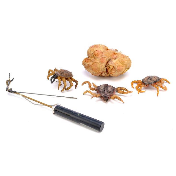 Lot #1430 - TICKS (1993) - Set of Tick Puppets