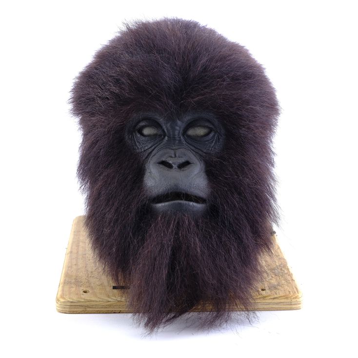 Lot 791 - Baby Simba Head Appliance | GORILLAS IN THE MIST (1988)
