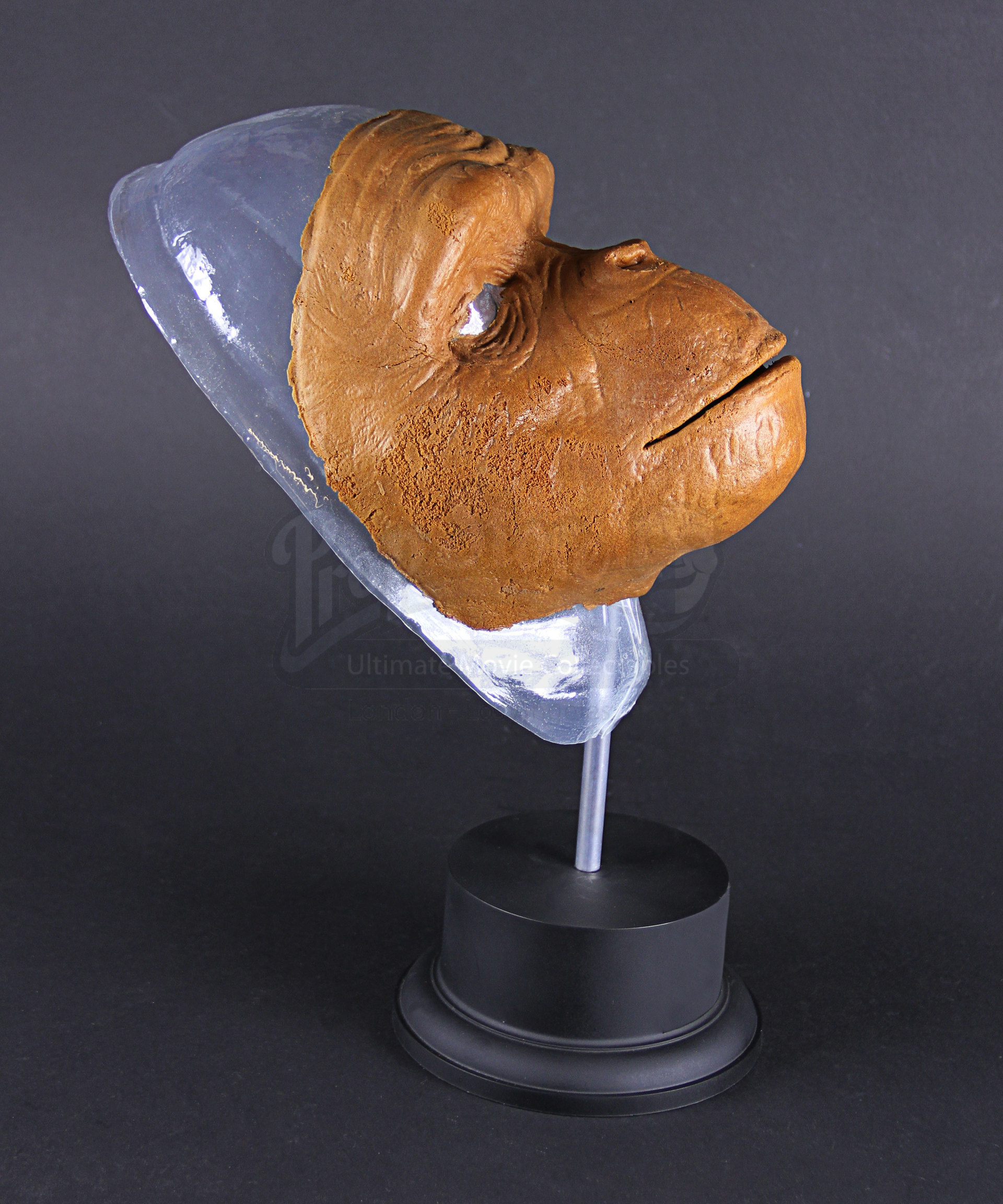 Ape Mask Signed Photo | Propstore - Find Your Extraordinary