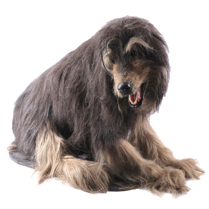 Lot #974 - MARRIED... WITH CHILDREN (1987-1997) - Animatronic Buck the Dog